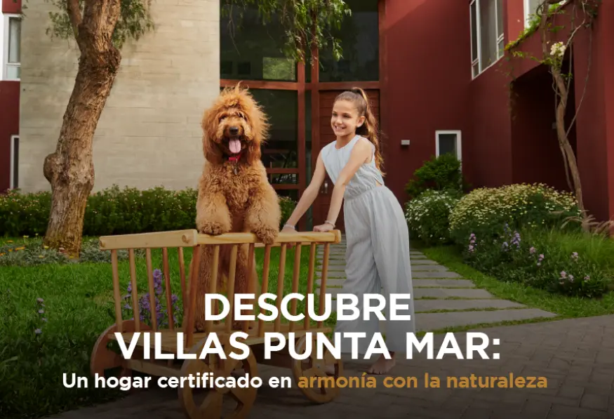 Descubre Villas Punta Mar: Un hogar certificado en armonía con la ...